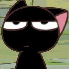Black Cat Pfps And Icons For Discord Instagram And Tiktok