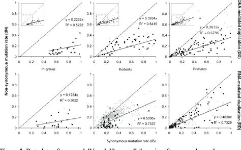 Figure 5 From The Birth Of New Genes By Rna And Dna Mediated
