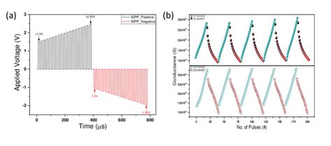 Conductance Variation Upon Consecutive Application Of Potentiation And Download Scientific