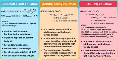 Understanding Creatinine Clearance Definition And Importance