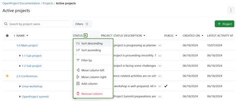 Project Lists Openproject
