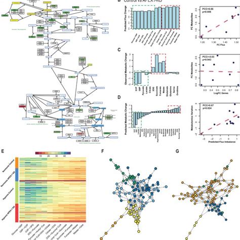 PDF ScFEA A Graph Neural Network Model To Estimate Cell Wise Metabolic Flux Using Single Cell