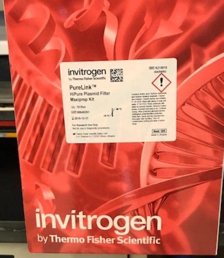 The Best Plasmid Prep Kits According To Our Product Reviewers