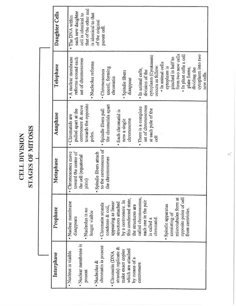 Mitosis And Meiosis Definition Parts Summaries Summaries Earth Science Docsity