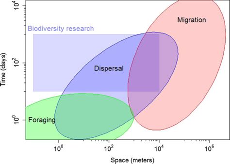 A Schematic Overview Of The Typical Spatial And Temporal Scales Of