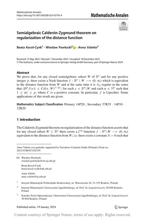 Semialgebraic Calderón Zygmund Theorem On Regularization Of The Distance Function