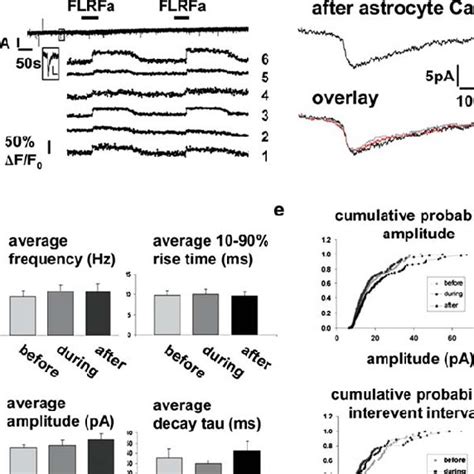 5 Generating A Conditional Knockout Mouse The Floxed Mouse Line Is