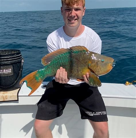 Tailwalker Sportfishing Day Adventures All You Need To Know Before