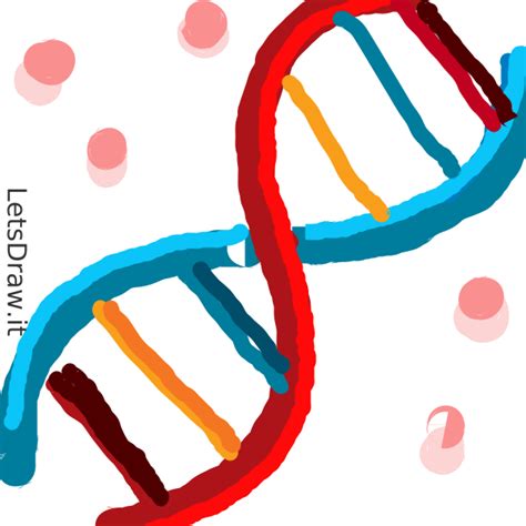 How To Draw DNA Ttritgmpi Png LetsDrawIt