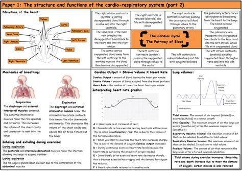 Gcse Pe Aqa 9 1 The Cardio Respiratory System Part 2 Knowledge Organiser Revision Mat