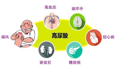高血压 糖尿病 冠心病的关系