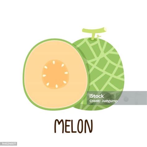 Vecteur Melon Melon Sur Fond Blanc Papier Peint Symbole Conception Du Logo Affiche De Melon