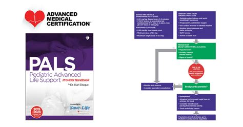 Bradycardia Algorithm Pals Online Handbook