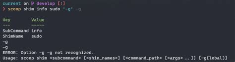 Bug Scoop Shim Info ERROR Option Global Not Recognized Issue ScoopInstaller