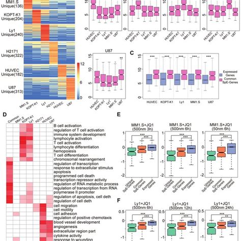 Brd4 Super Loaded Regions Genes Determined In Each Cell Line A Brd4