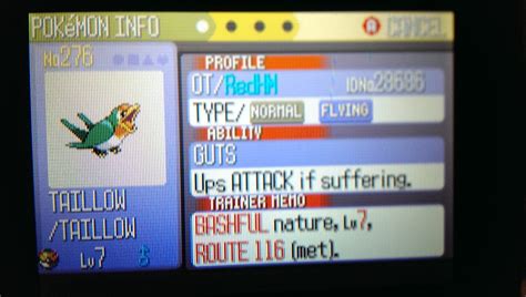 [3] Shiny Taillow After Only 631 Res In Ruby R Shinypokemon