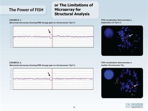 Current Applications For Genomic Microarray Ppt Download