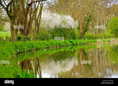 What Plants Grow By Rivers At Susie Branch Blog