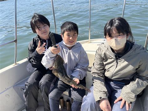 チニング便 公式東京湾のチャーターボートプレジャーボートならPLAYFUL FISHING プレイフルフィッシング
