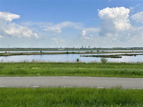 Steven Can Plan Writing About Cities