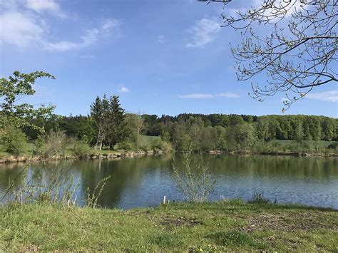 Fkk In Alling Allinger Weiher Impressionen Fotos Bilder