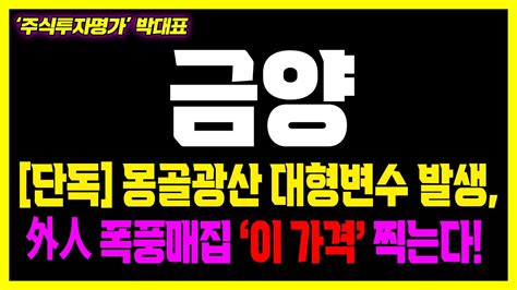 금양 초거대세력 11월 추가 매집 진행중 충격적 매수 이유 공개 금양금양 주가전망lg에너지솔루션 에스엠랩 몽골리튬광산 발포제 수산화리튬 원통형배터리