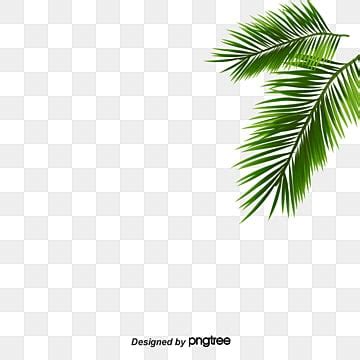 잎 잎사귀 일러스트 잎 클립 아트 이파리 식물 PNG 일러스트 및 PSD 이미지 무료 다운로드 Pngtree