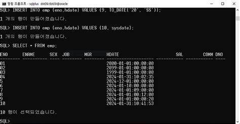 Sql Insert Update Delete