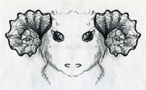 Aries The Ram Sketch Stock Illustration Illustration Of Paper 46423392