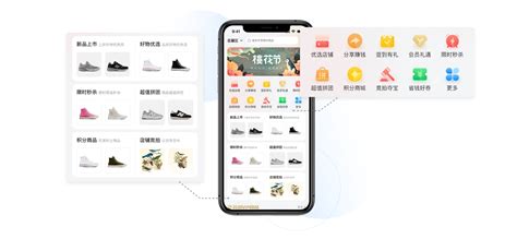 SAAS商城系统LaiKeTui