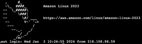 How To Enter Emergency Mode For Aws Ec2 Linux Instances Without