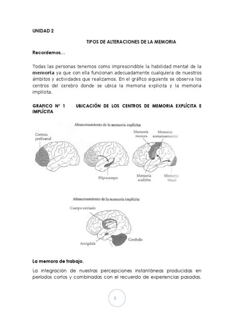 Tipos De Alteraciones De La Memoria Pdf Memoria Amnesia