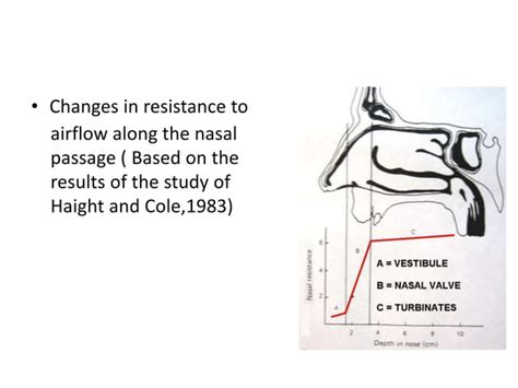 Physiology Of Nose And Paranasal Sinuses Pptx