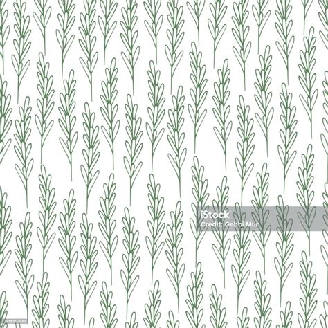 낙서 스타일의 녹색 향기로운 스프릭 향신료의 로즈마리 이음새가 없는 꽃무늬 로즈마리에 대한 스톡 벡터 아트 및 기타 이미지 로즈마리 0명 Central London