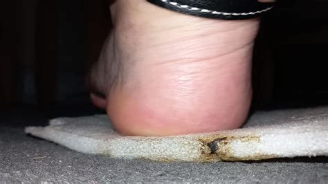Crushed Flat Video 6