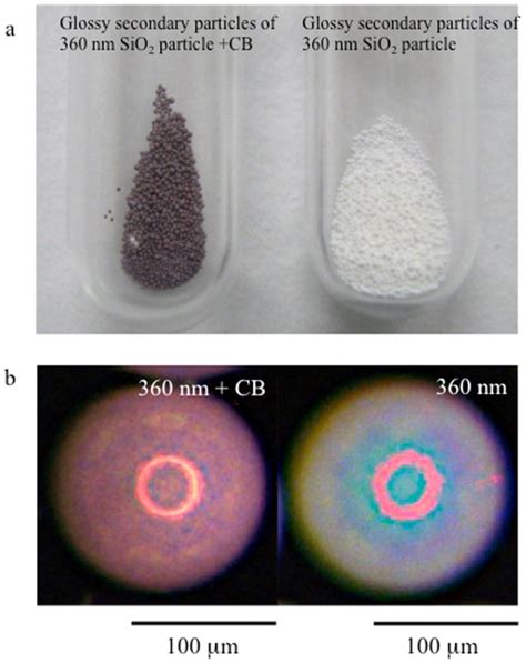 A Secondary Particles Composed Of Silica Particles 360 Nm In Diameter Download Scientific