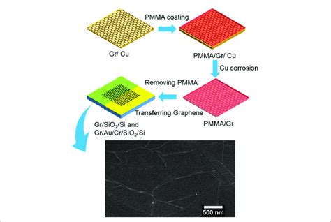 The Fabrication Process Of Graphene On SiO 2 Si And Au Cr SiO 2 Si Download Scientific