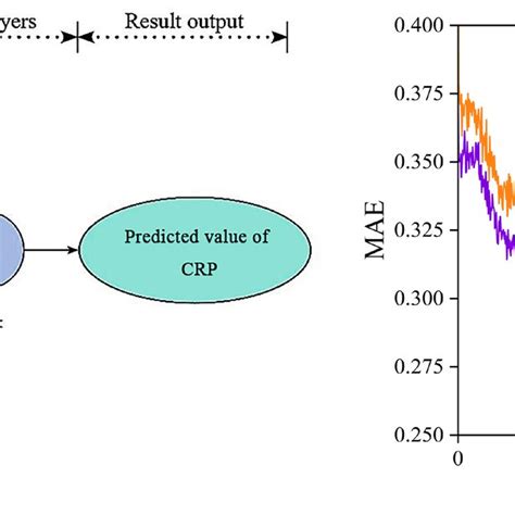 Schematic Diagram Of The Mlp Model O Represents The Neuron W Download Scientific Diagram