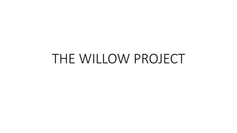 The Willow Projectpptx