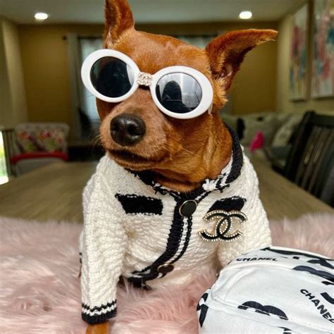 Piper The Pin Piperthepin Threads Say More