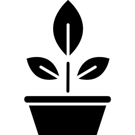 Plant Cubydesign Solid Icon Plant Cubydesign Solid Icon