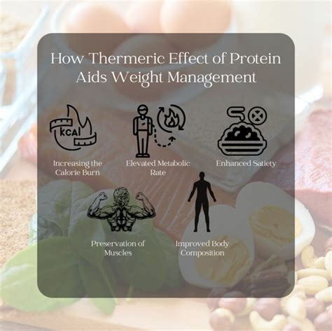 How Thermeric Effect Of Protein Aids Weight Management Through Its Effect On Metabolism And