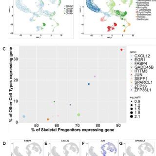 Unsupervised Clustering And UMAP Plots With Each Point Representative Download Scientific