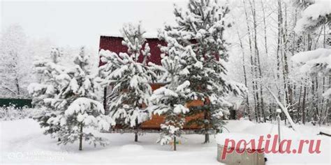 Что делать зимой на даче — Сообщество «drive2 На Даче на Drive2 Идеи для дачи Постила