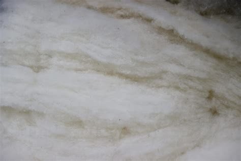 Ноолуурын экспортын орлогыг ойрын жилүүдэд хоёр дахин нэмэх боломжтой