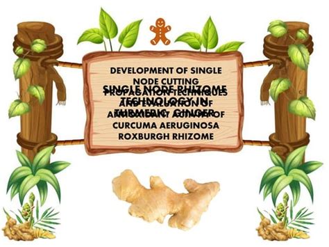 Fertilizer Control Orderpptx