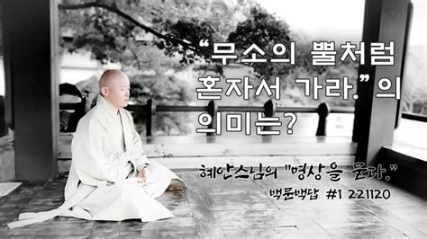 문 답 무소의 뿔처럼 혼자서 가라 의 의미는 ㅣ혜안스님의 명상을 묻다 YouTube