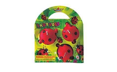 Ladybugs Flying Item At Fireworks Forever