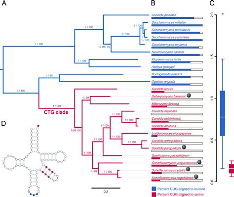 Virus Host Co Evolution Under A Modified Nuclear Genetic Code [peerj]