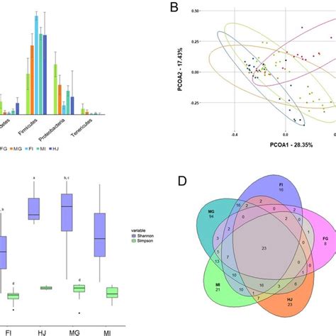 Diversity Metrics Phylum Relative Abundance Ra And Shared Genera Download Scientific
